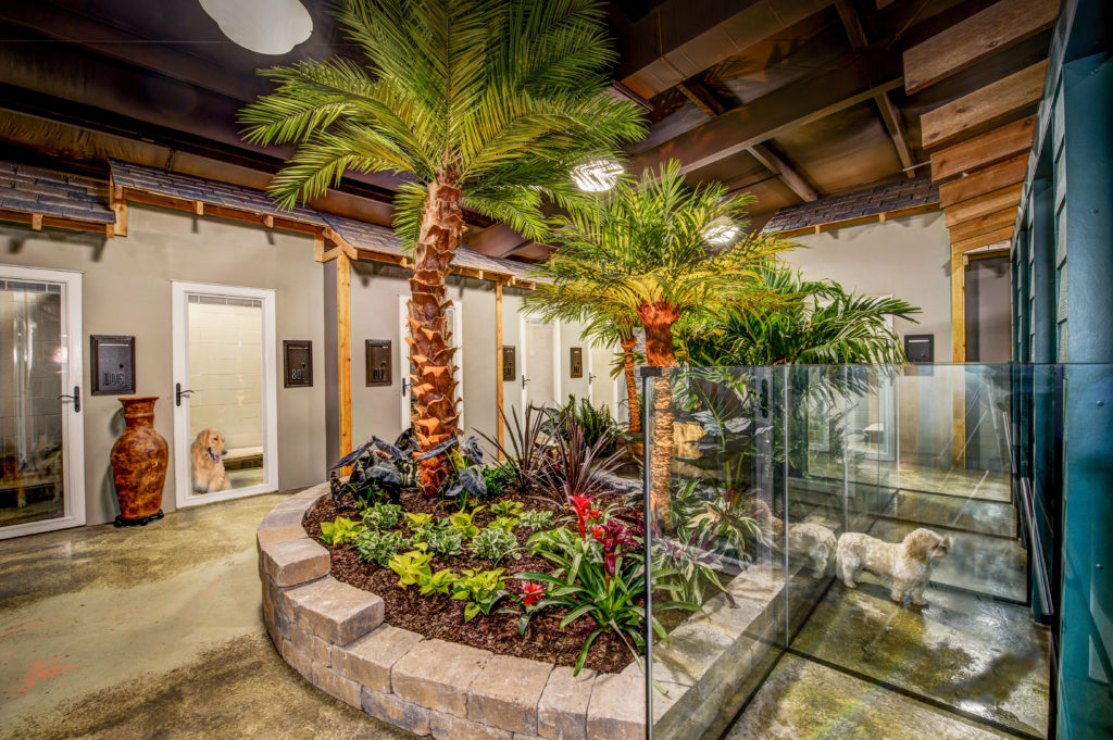 Safari Pet Resort - Nashville Parent