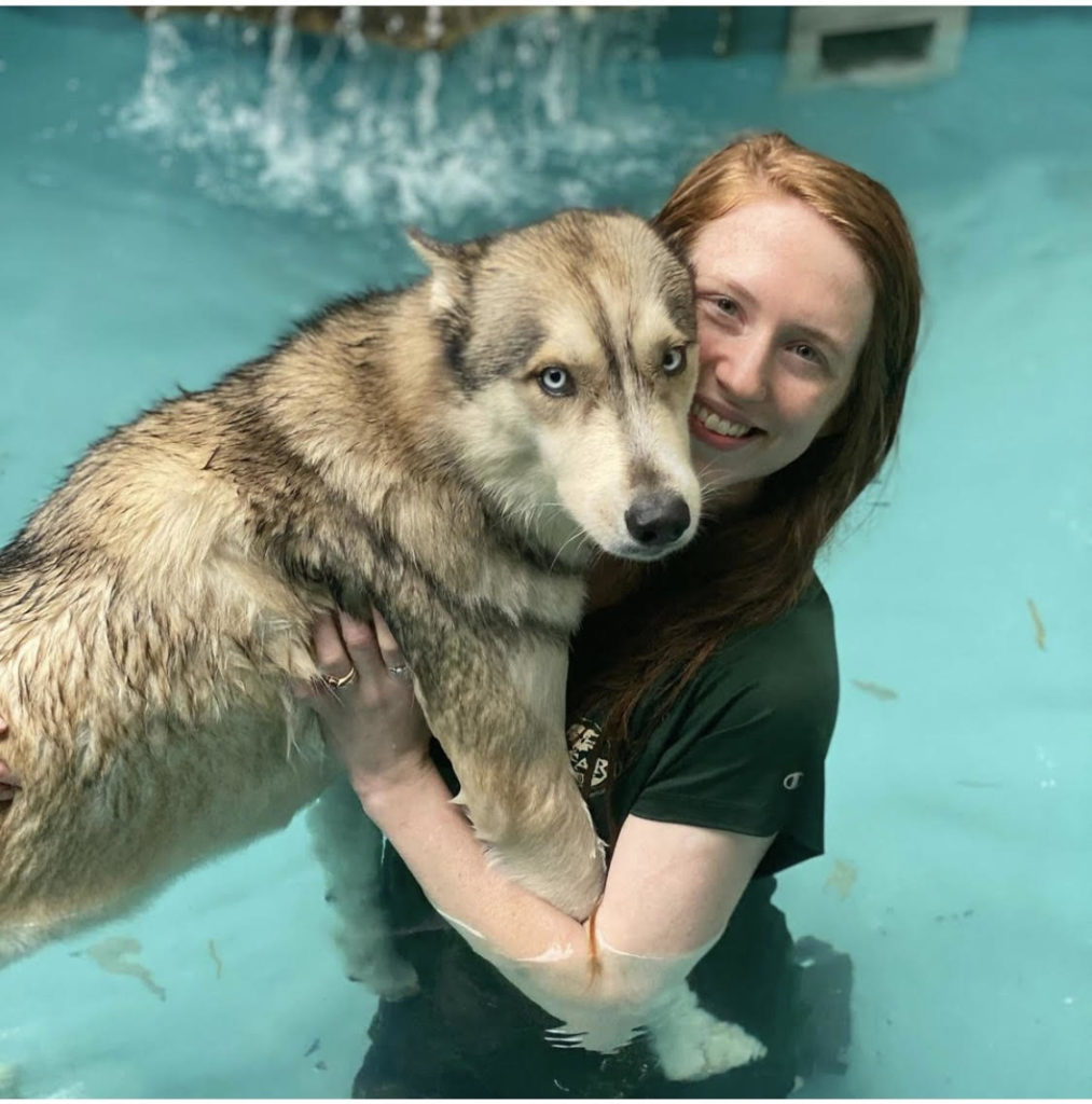 Safari Pet Resort - Nashville Parent