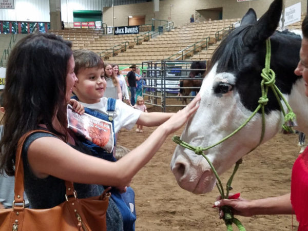 Franklin Rodeo Features Fun for the Entire Family - Nashville Parent