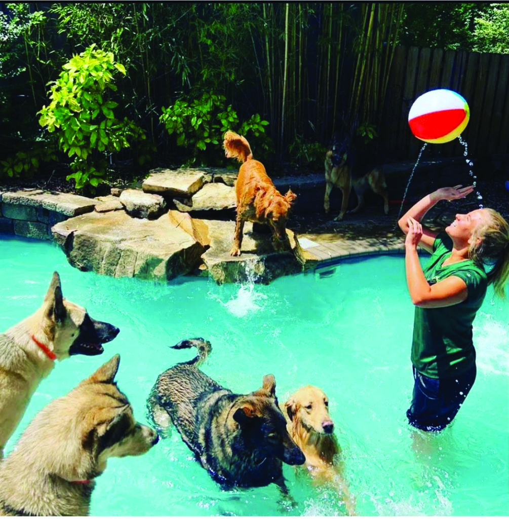 Drop Your Pets Off at Safari Pet Resort - Nashville Parent