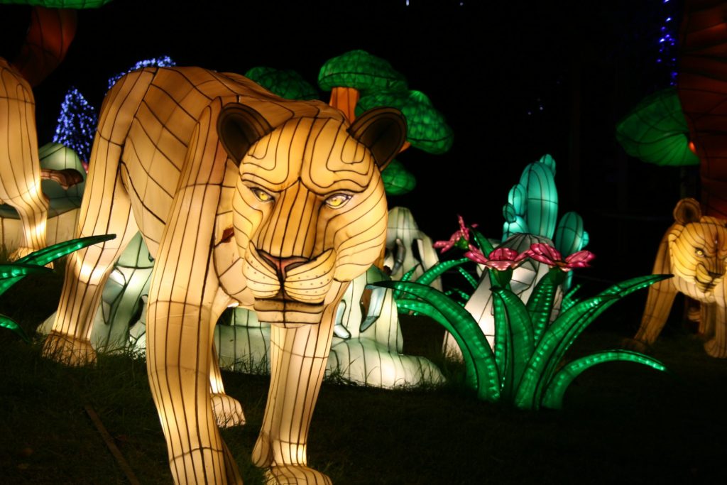 Zoolumination to Return at Nashville Zoo in November - Nashville Parent